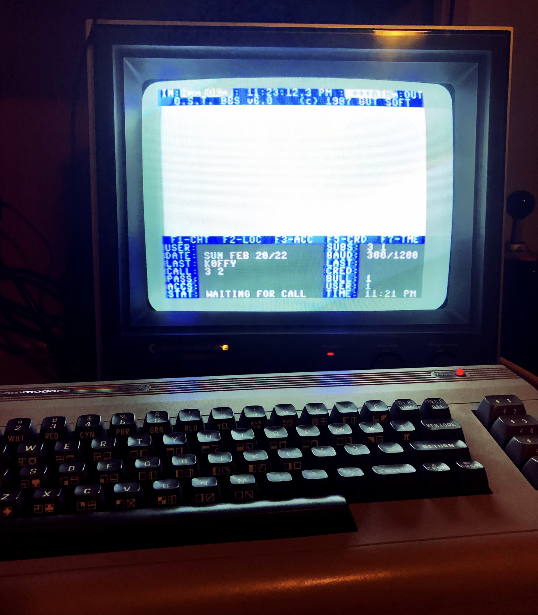 Simple BBS in a Commodore Emulator - Adam Whitney